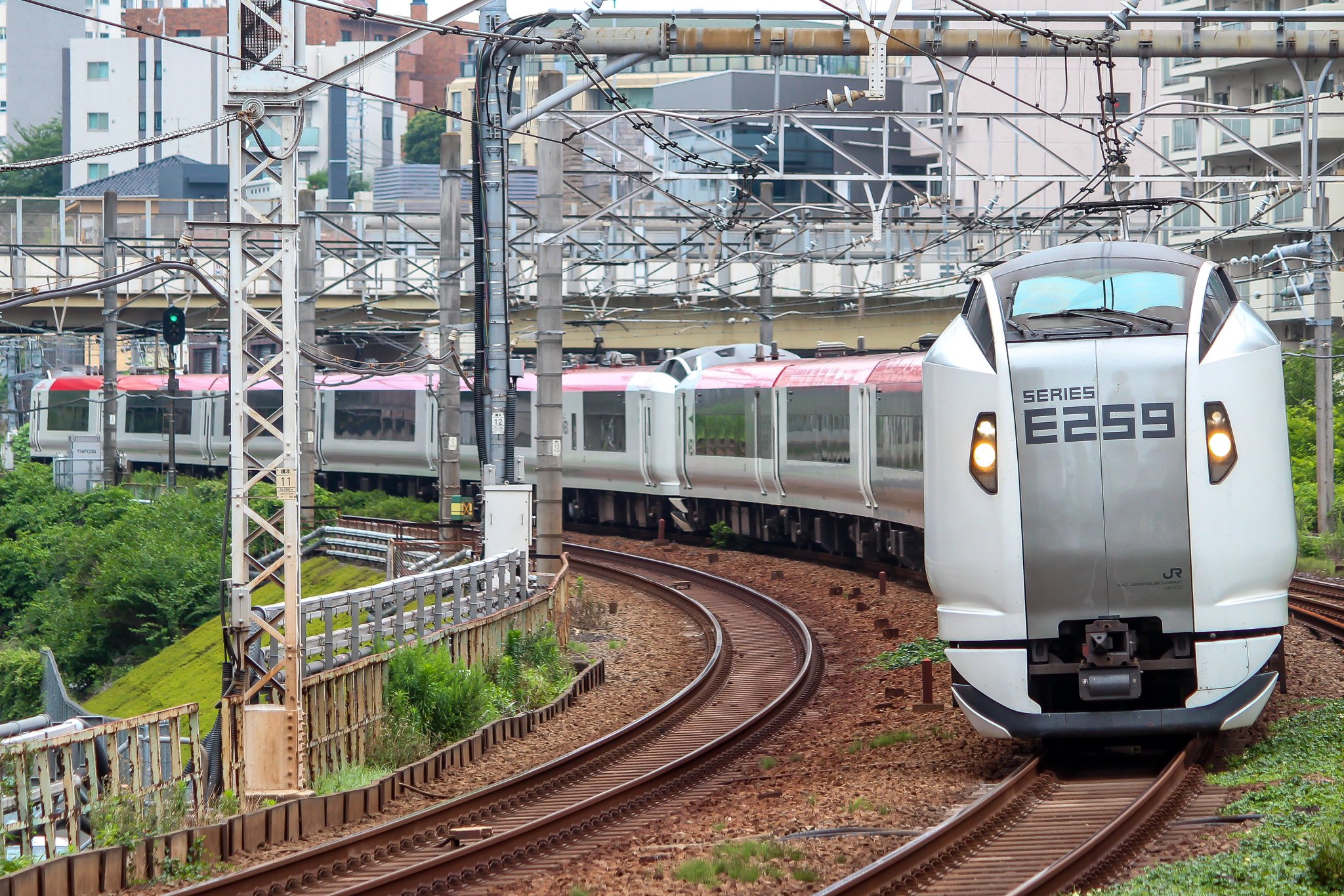 ガオーちゃん on Twitter: "N'EXの新塗装も見慣れてきた気がします。 6/30 2225M(成田エクスプレス25号) E259系Ne002編成＋Ne？編成 https://t ...
