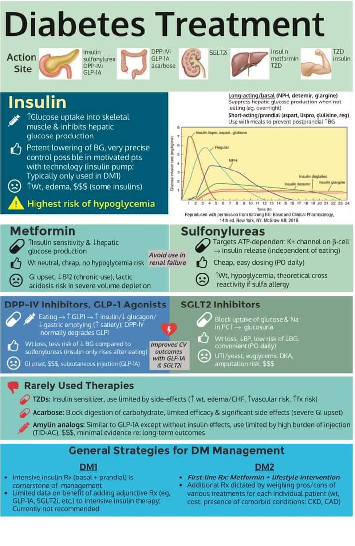 Diabetes Treatment Chart