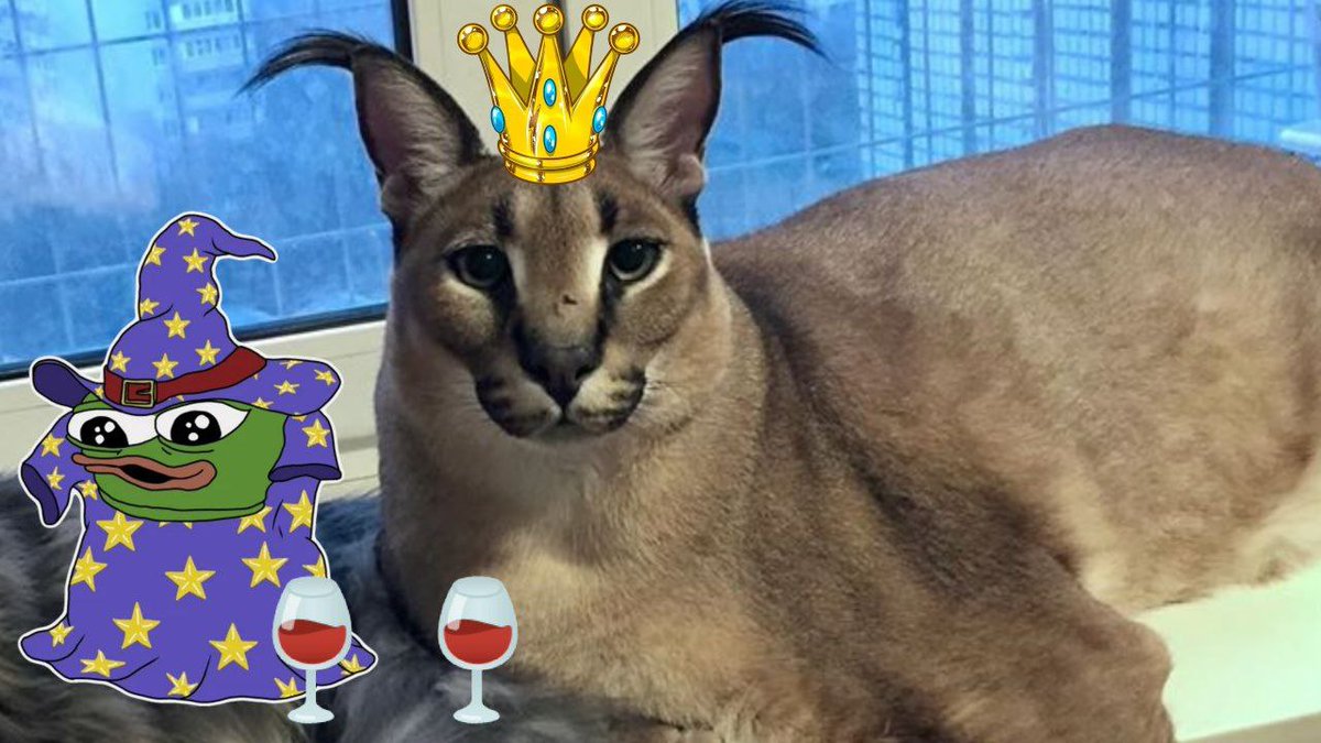 Gaianatureworship12 on Twitter: "Wizard Apu drinking wine with King Floppa"