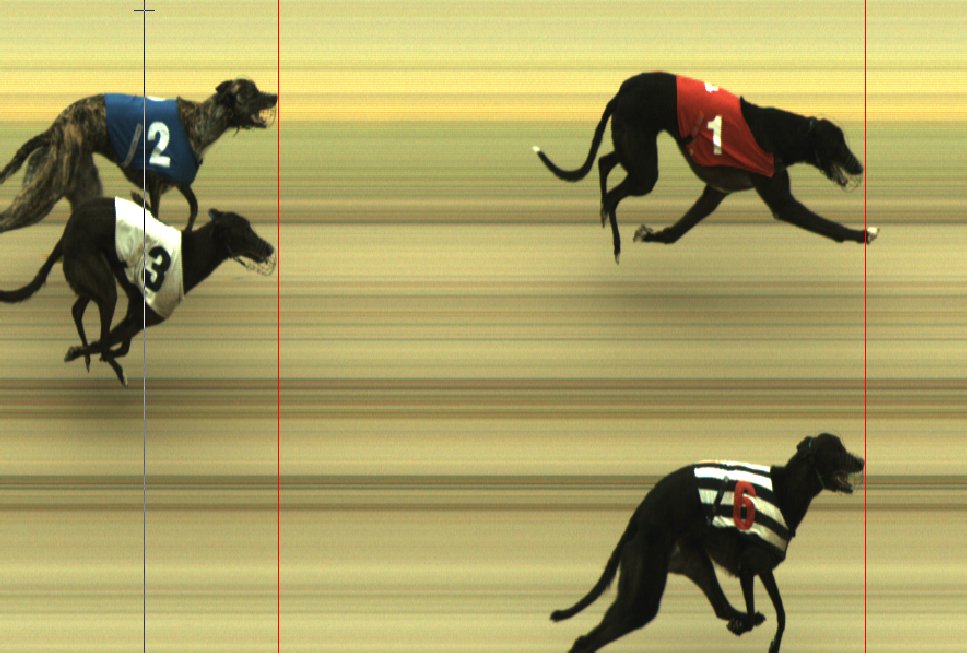 Monmore Racing Office on Twitter: "Friday 30th June - Race 8 Photofinish📸 Winner's Trap 1 & 6 ...