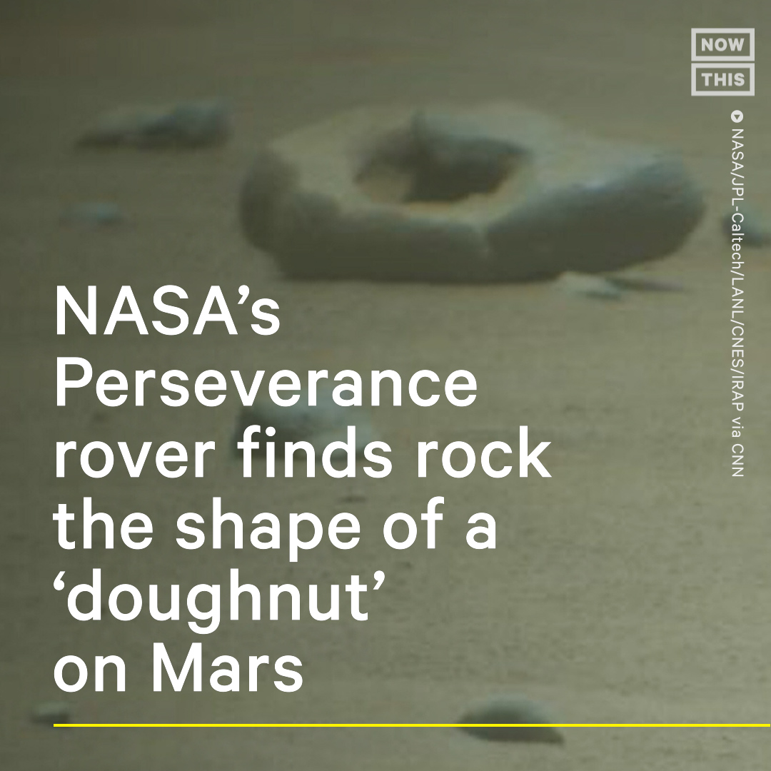 Mars Rover Rock Doughnut