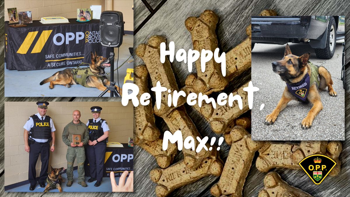 OPP West Region on Twitter: "A very happy #SaturdayShoutOut to retiring Canine Unit member Max ...