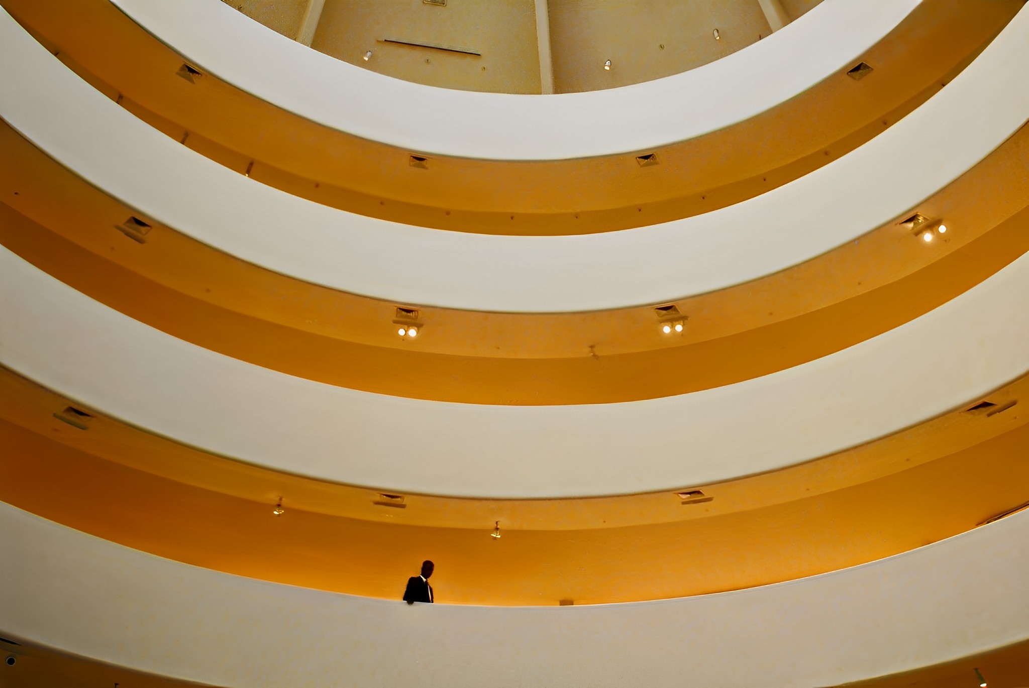Guggenheim Ceiling