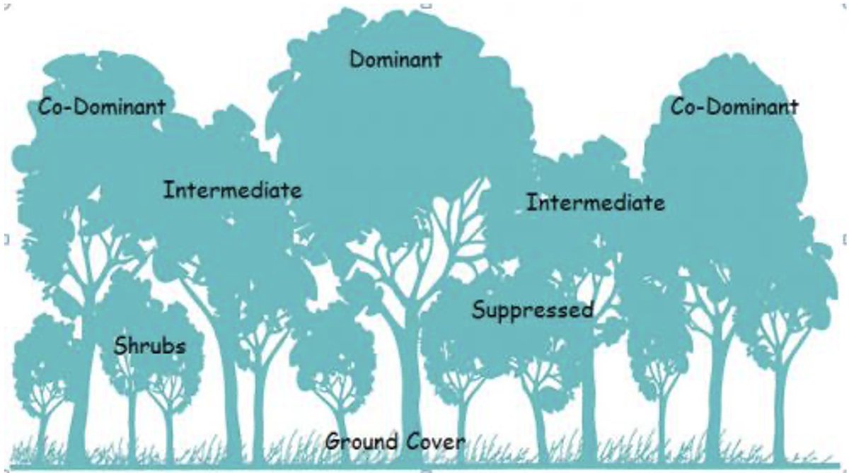 Raster data format - mumuproduct
