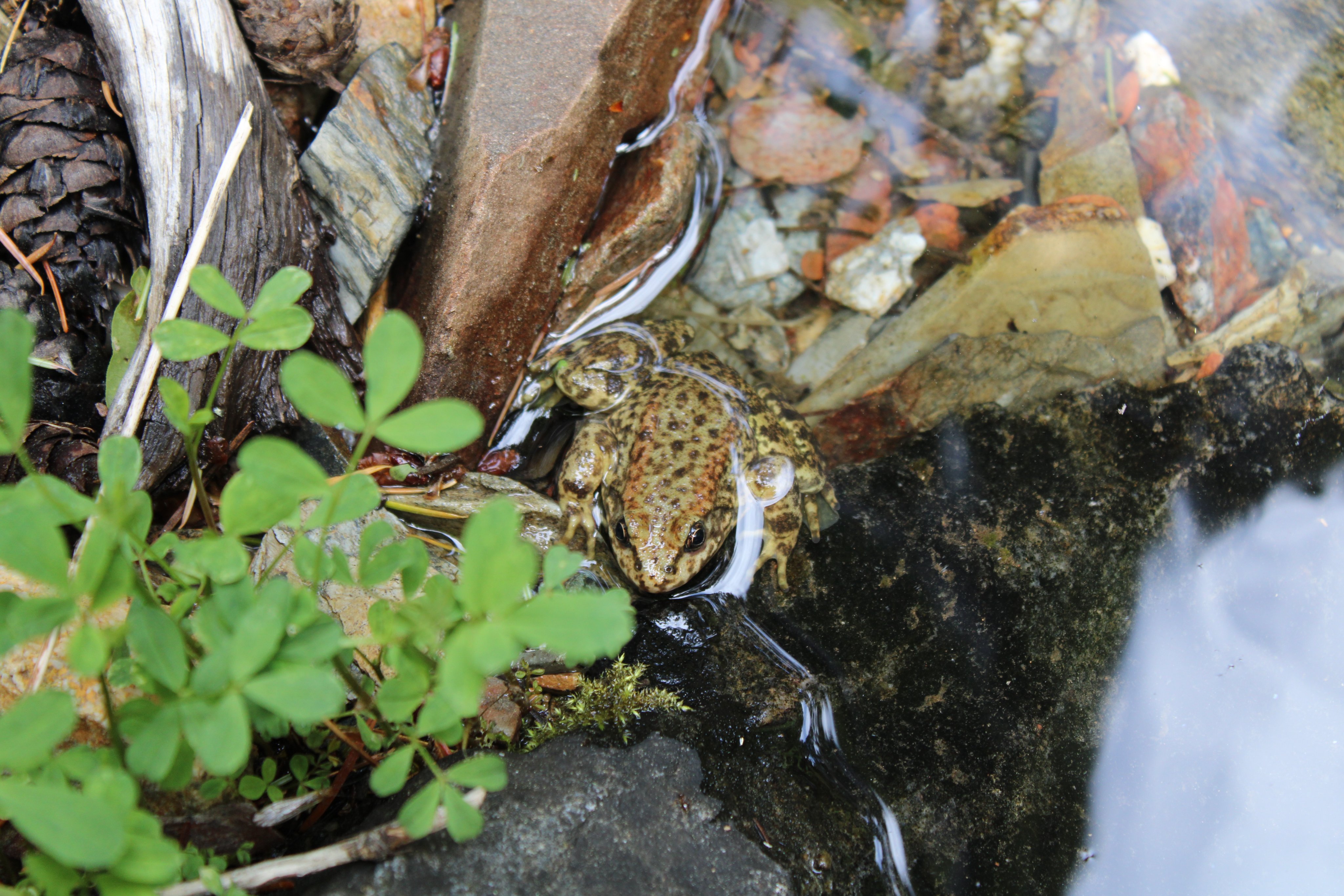 U.S. Fish and Wildlife Service on Twitter: "This program greatly ...