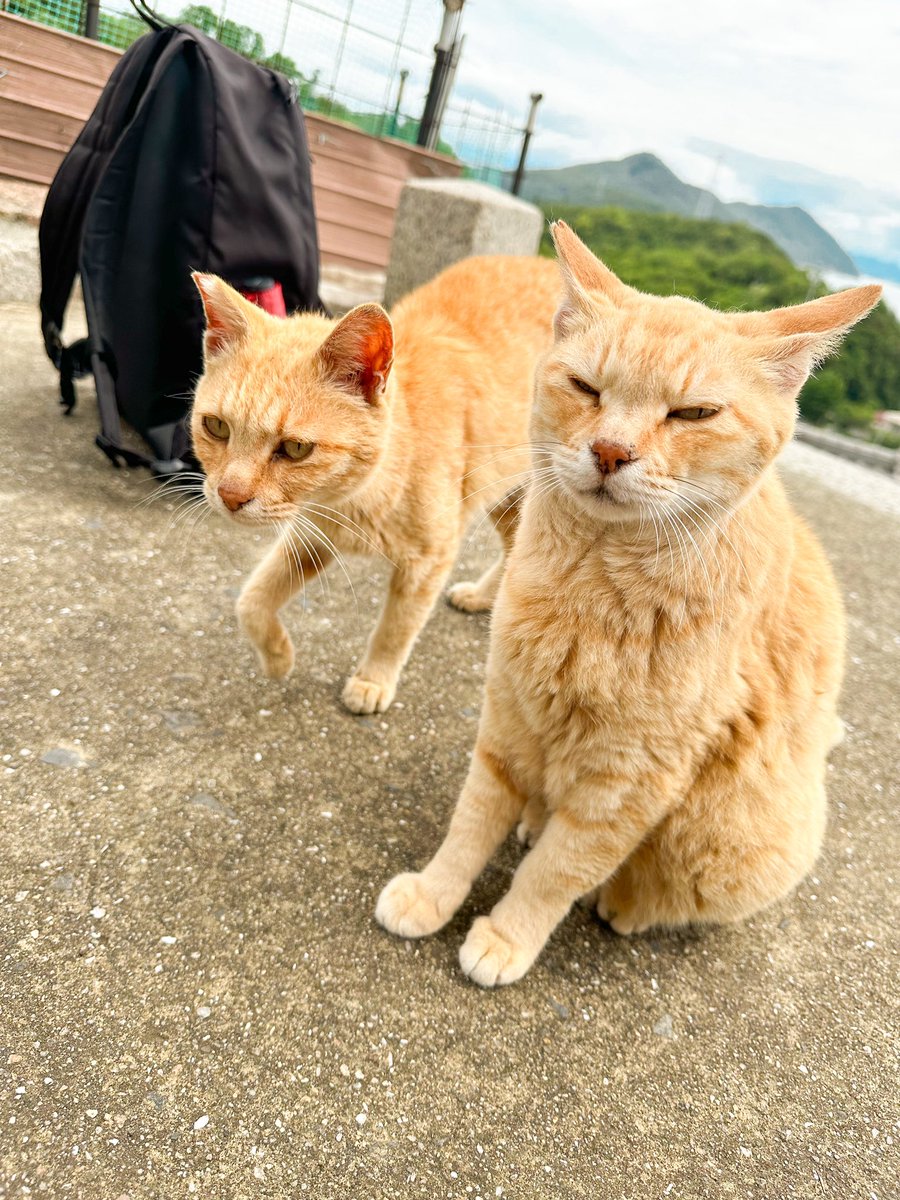 Visiting Summer Pockets IRL Locations! (Ogijima) — MyFigureCollection.net