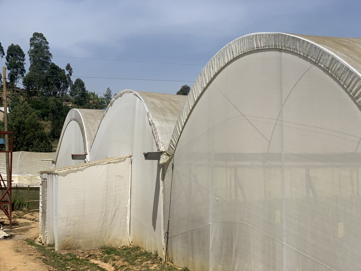 Today I had an incredible farm visit at RWANDA BEST FARM which ...