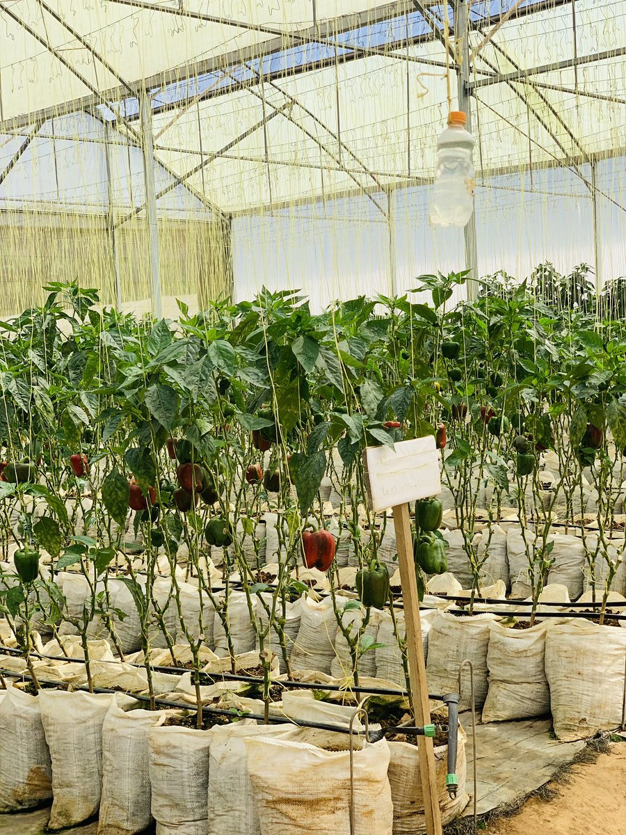 Today I had an incredible farm visit at RWANDA BEST FARM which ...