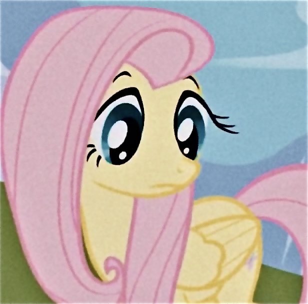 pinkie.mov ! ִ ࣪ ᰔᩚ on Twitter: "big fan of when fluttershy does this face in particular"