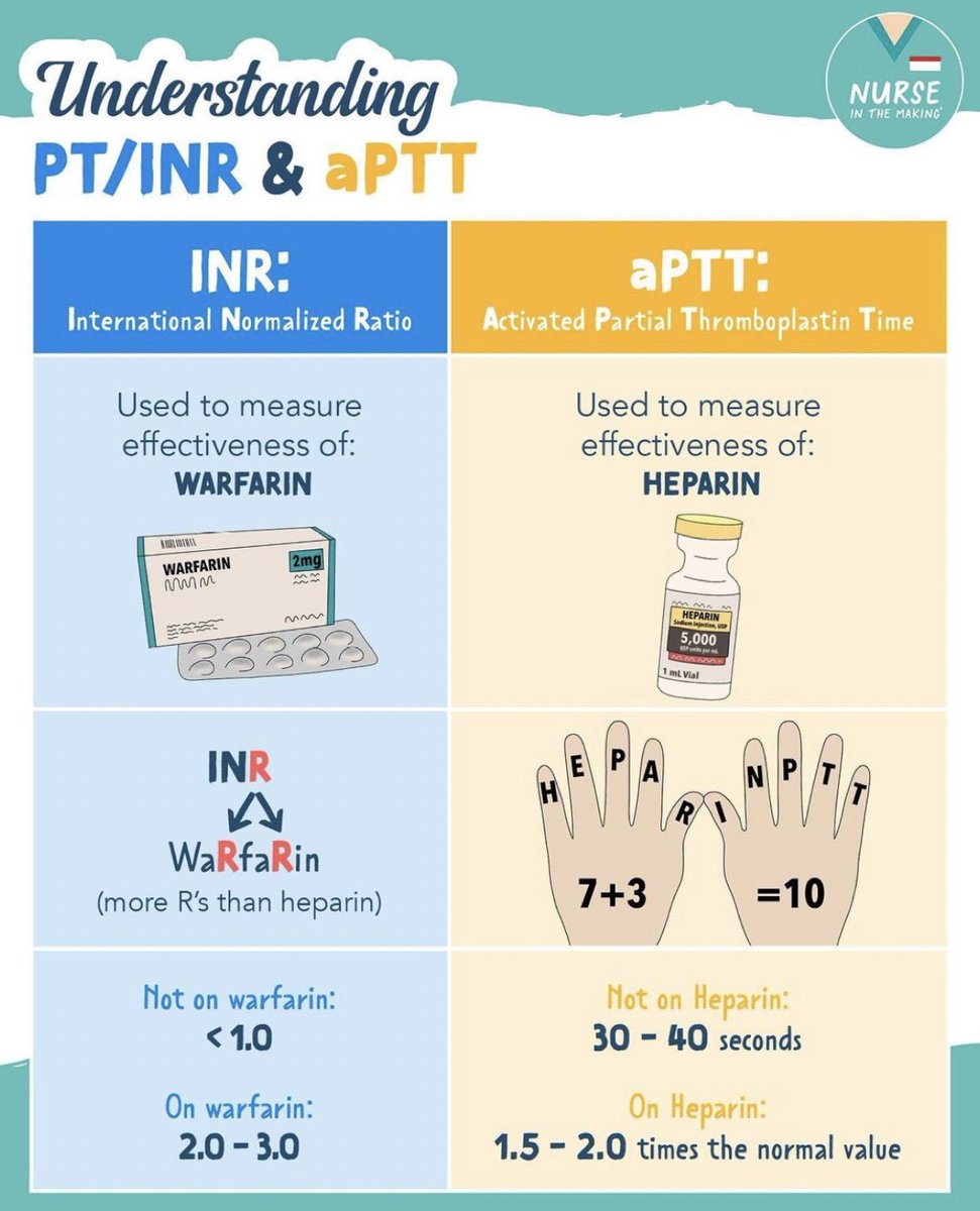 Pharmacy TA on Twitter: "PT / INR & aPTT 🫀🫁"