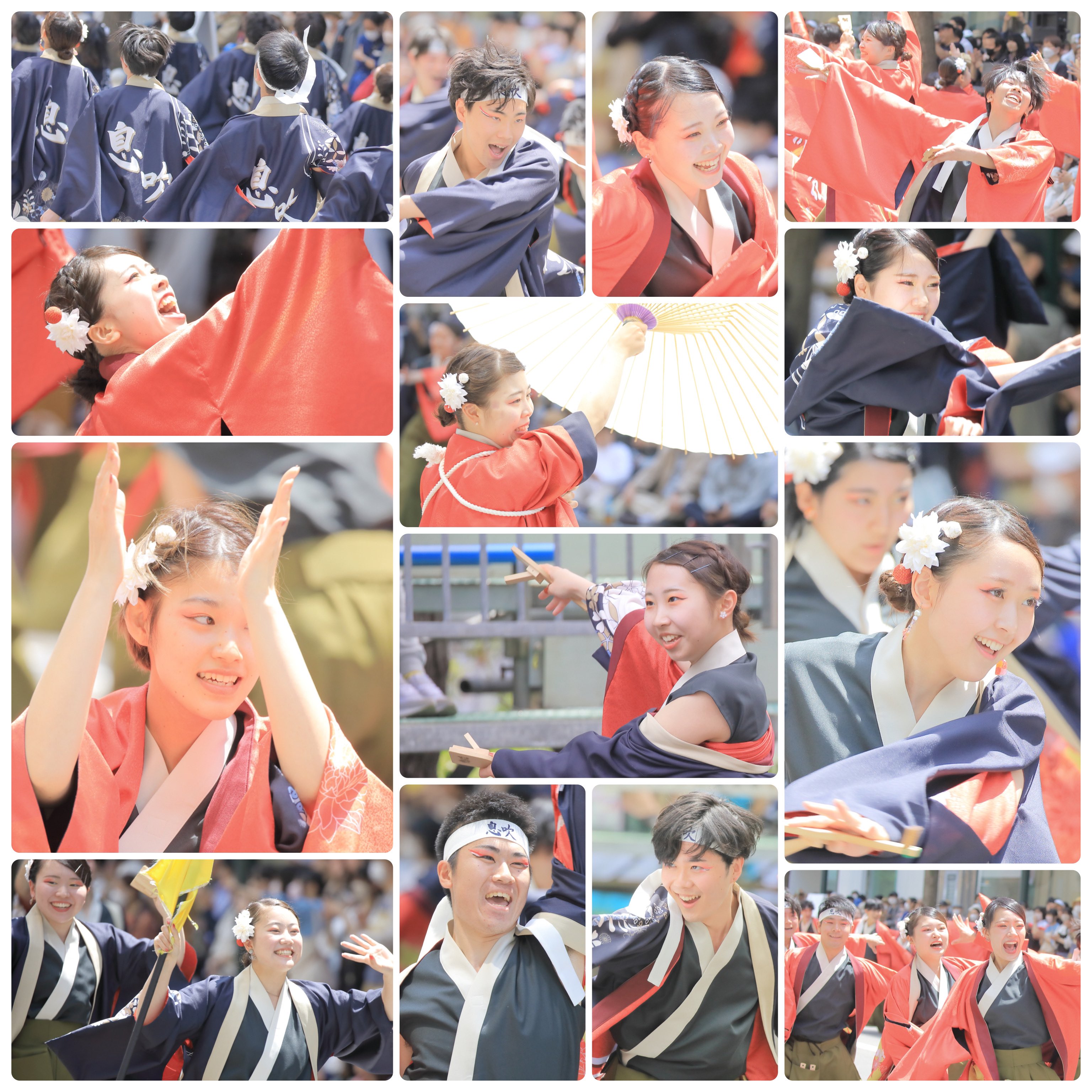 Kaoru on Twitter: "第32回YOSAKOIソーラン祭り 粋～IKI～北海学園大学 函館学生連合～息吹～ 夜桜金魚とまこまいJAPAN with 風雪太鼓 Crew鍵"ルーキー ...