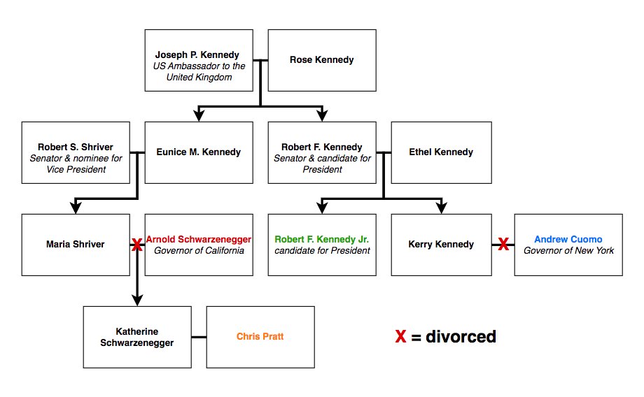 Arnold Schwarzenegger Family Tree