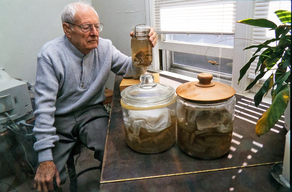 Albert Einsteins Brain In Jar