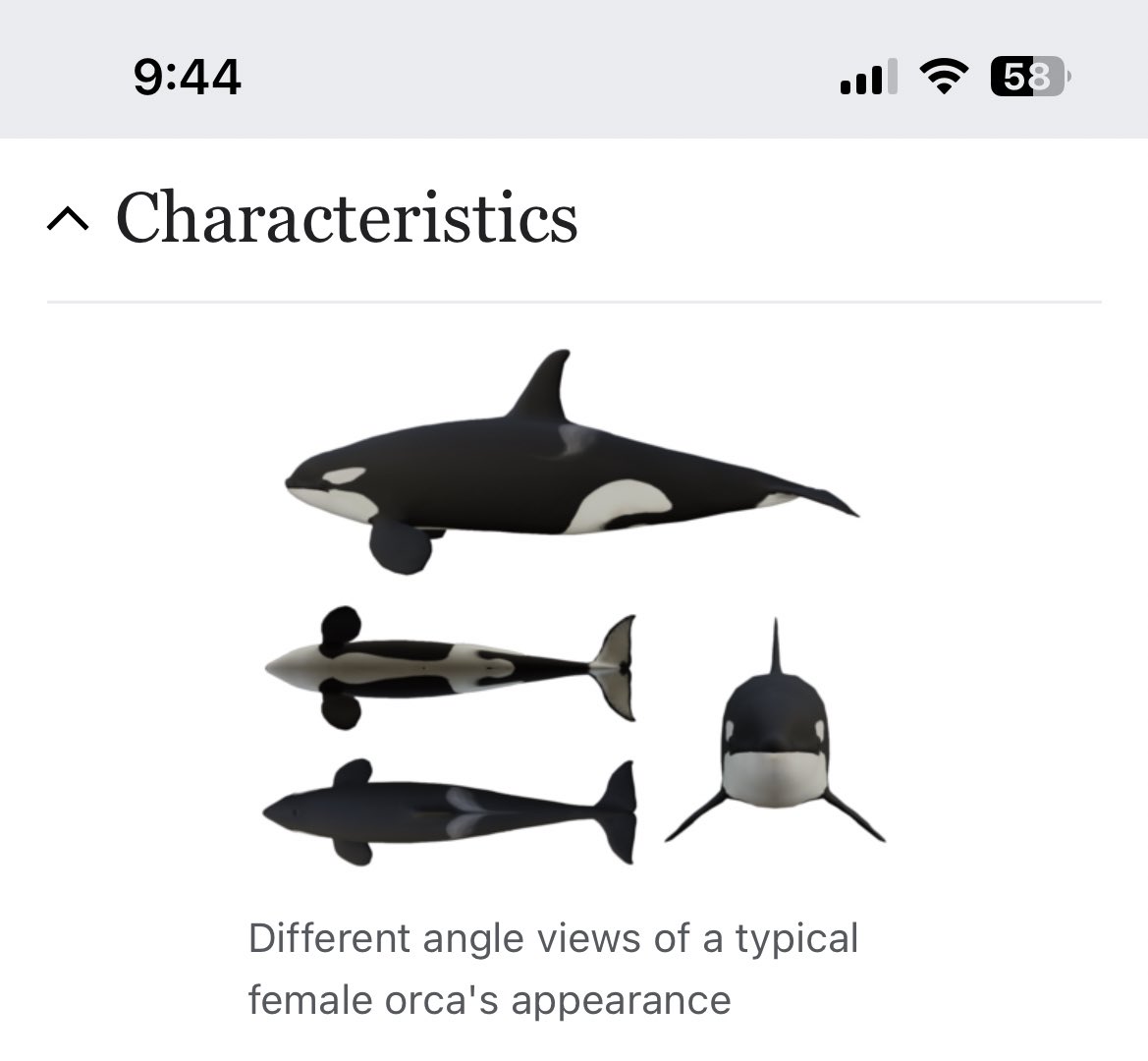 Orca on Twitter: "Omg my Wikipedia has some of the MOST embarrassing pics of me. https://t.co ...