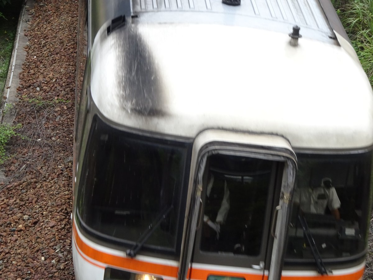 Ruby & Emmeline on Twitter: "2023/6/18 10:47 尾鷲10:46発 南紀1号 紀伊勝浦行 暇になったので近所の跨線橋で撮影。 #尾鷲市 #紀勢本線 ...