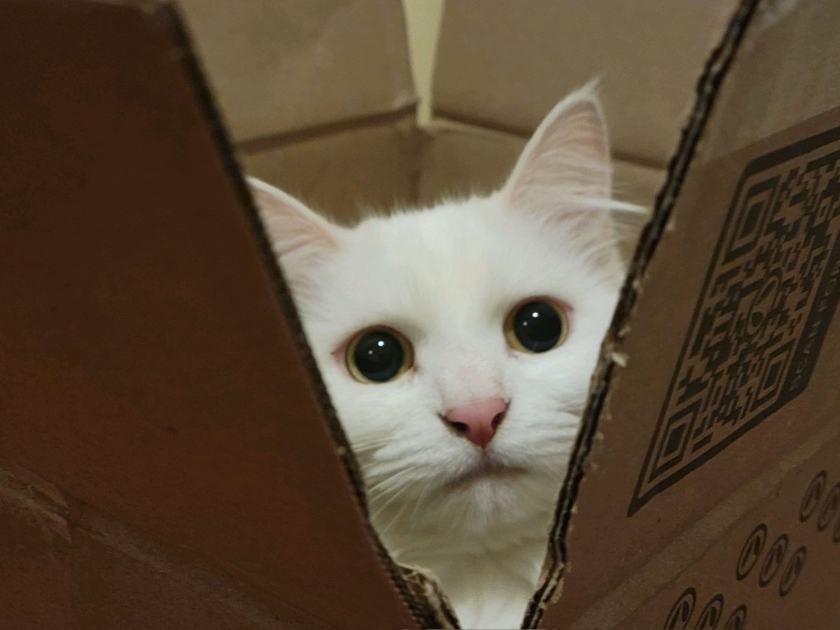 James (CHECK PINNED) on Twitter: "RT @Bad_Babette: POV, you jus got the Life Bapped out of your"