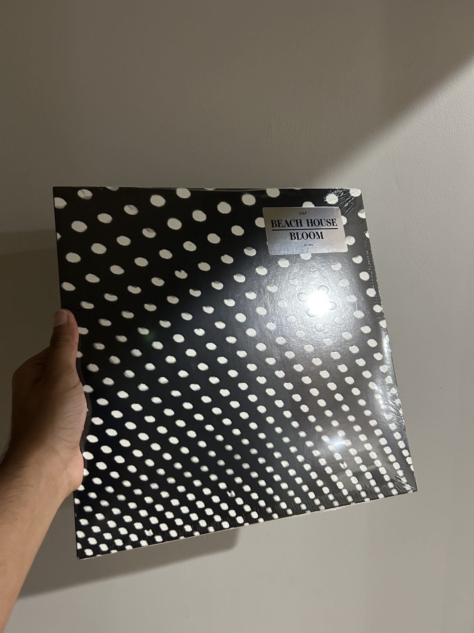 Beach House Bloom Vinyl