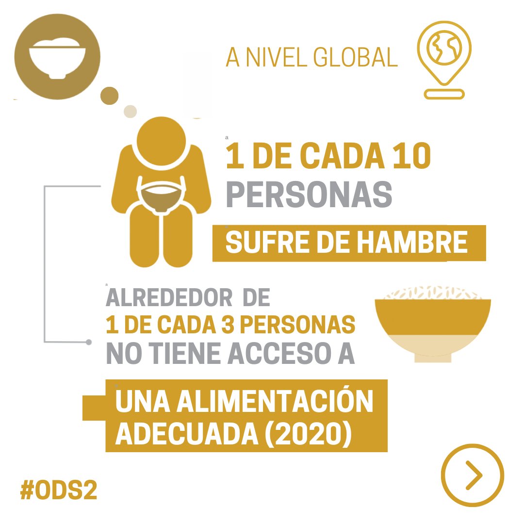 ONU Ecuador on Twitter: "Los Objetivos de Desarrollo Sostenible 🌎 constituyen un compromiso ...