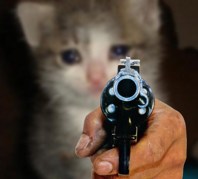 Kitten With Gun To Head