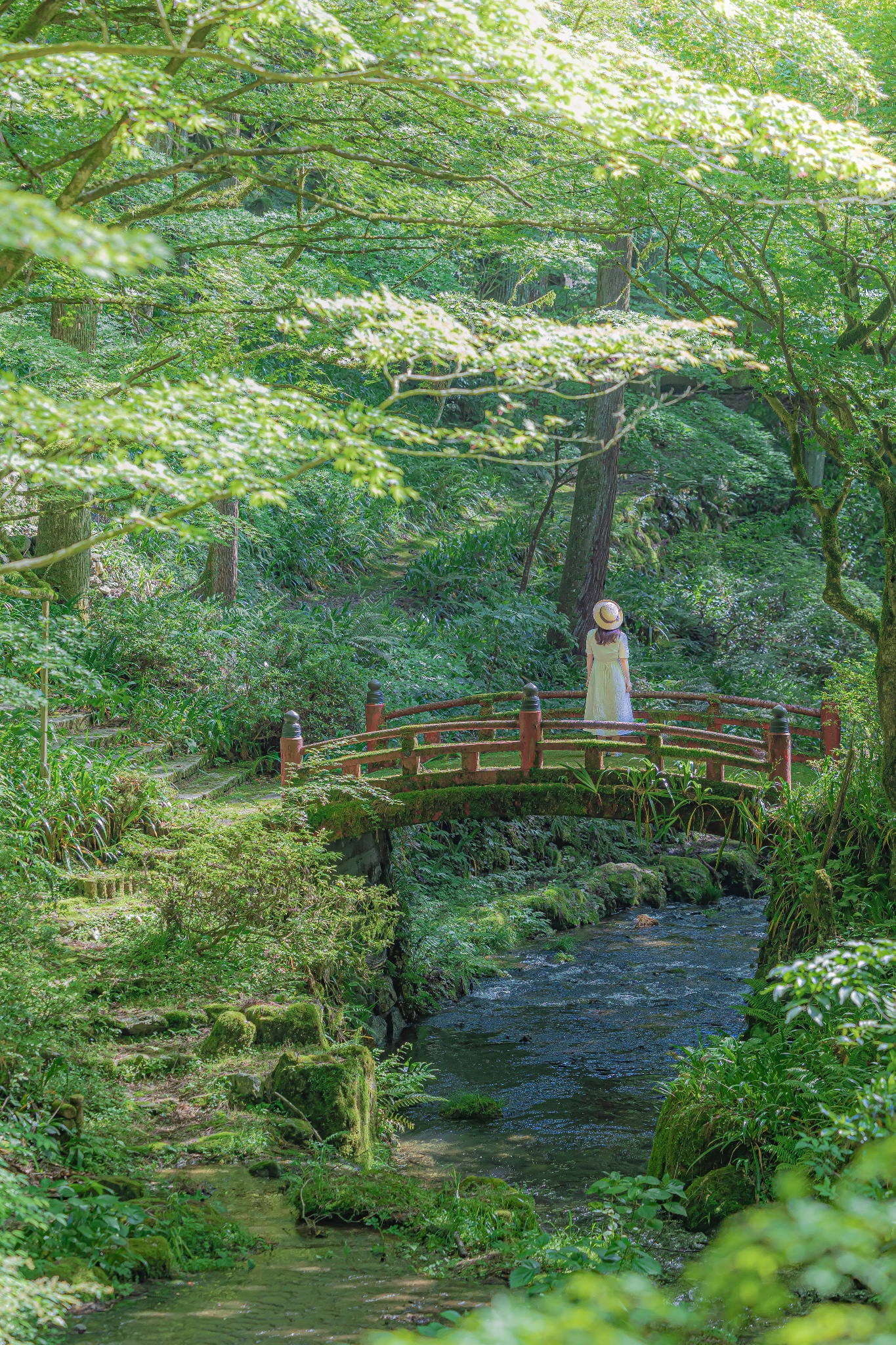 あーる(T.yamad) on Twitter: "RT @yuya0240: 夏の緑が好き https://t.co/ODevCXt6Pe" / Twitter