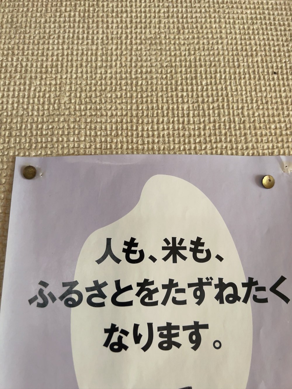 米谷恭輔【BMK】 on Twitter: "そうなんです。 #BMK #米 https://t.co/yKry4I0nHB" / Twitter