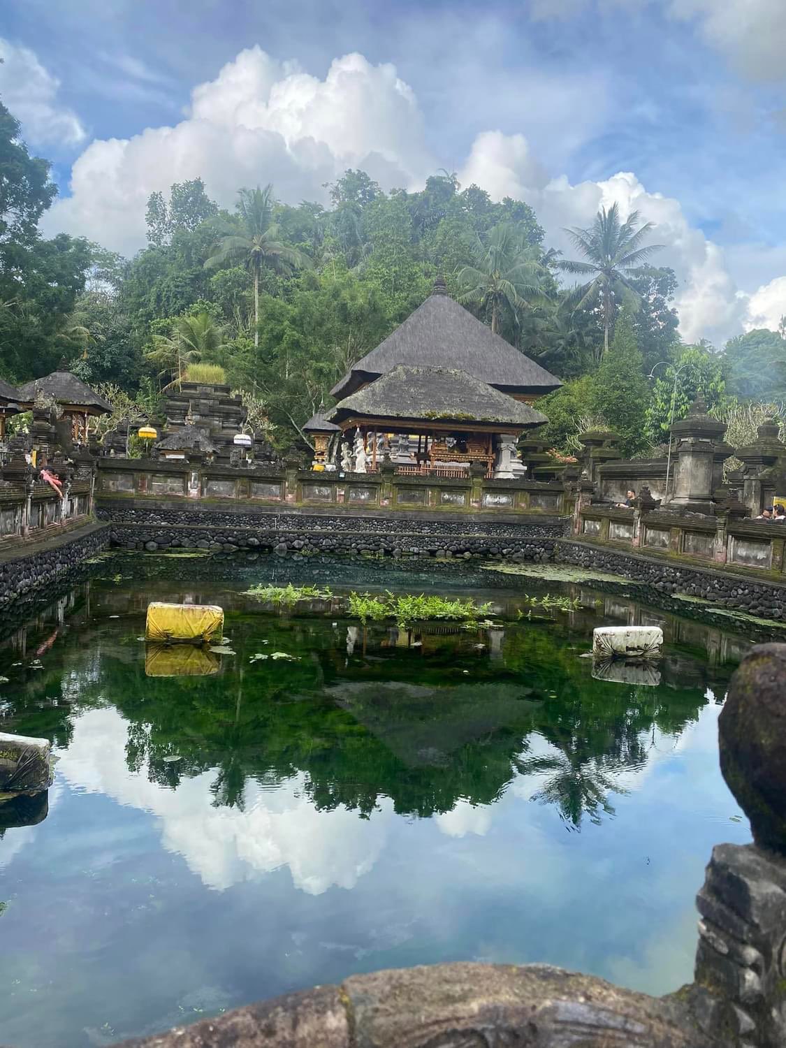 Зариг мн Өнөрцэцэг Zarigunuruu Twitter