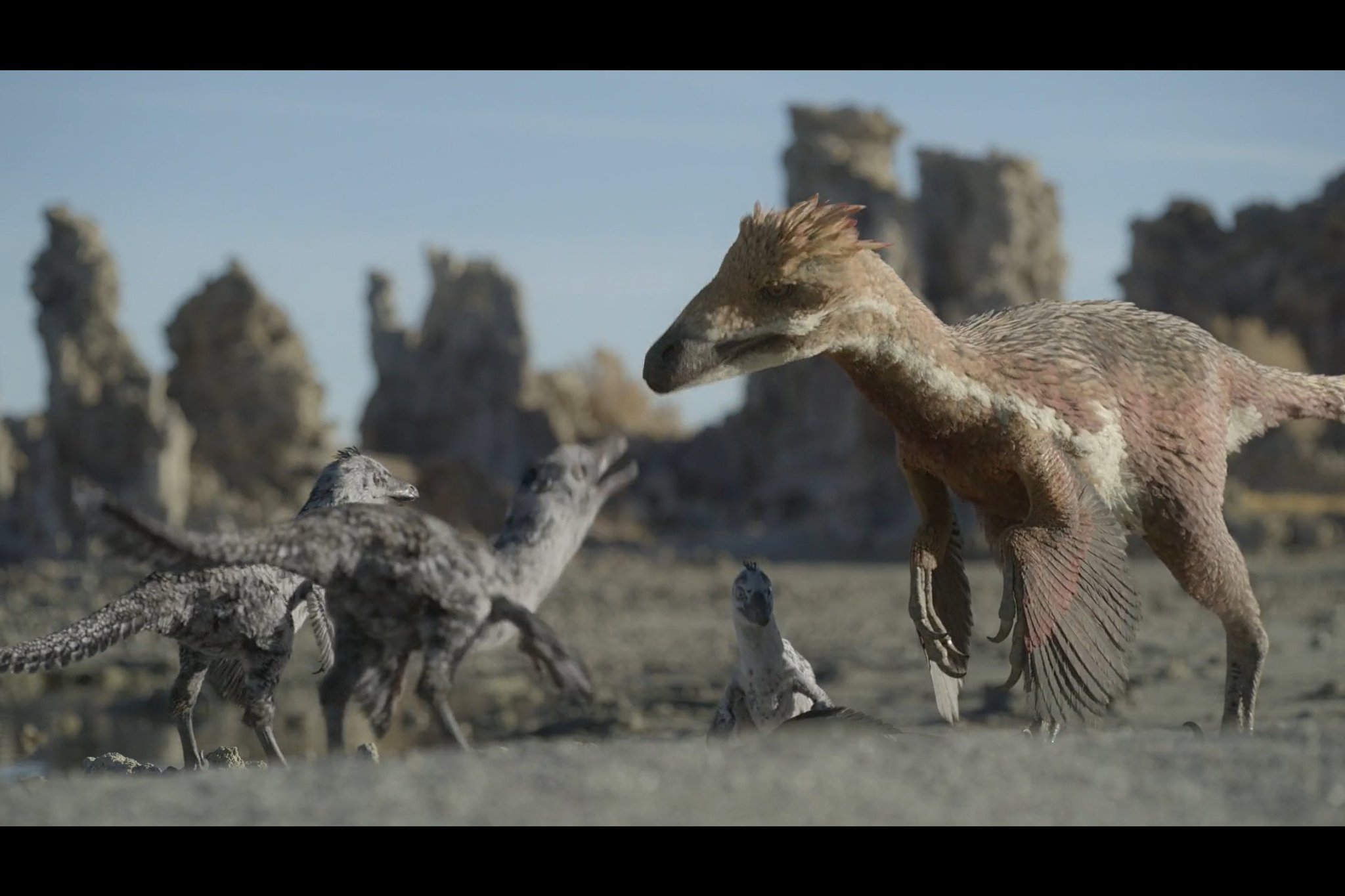 Troodon Dinosaur Planet