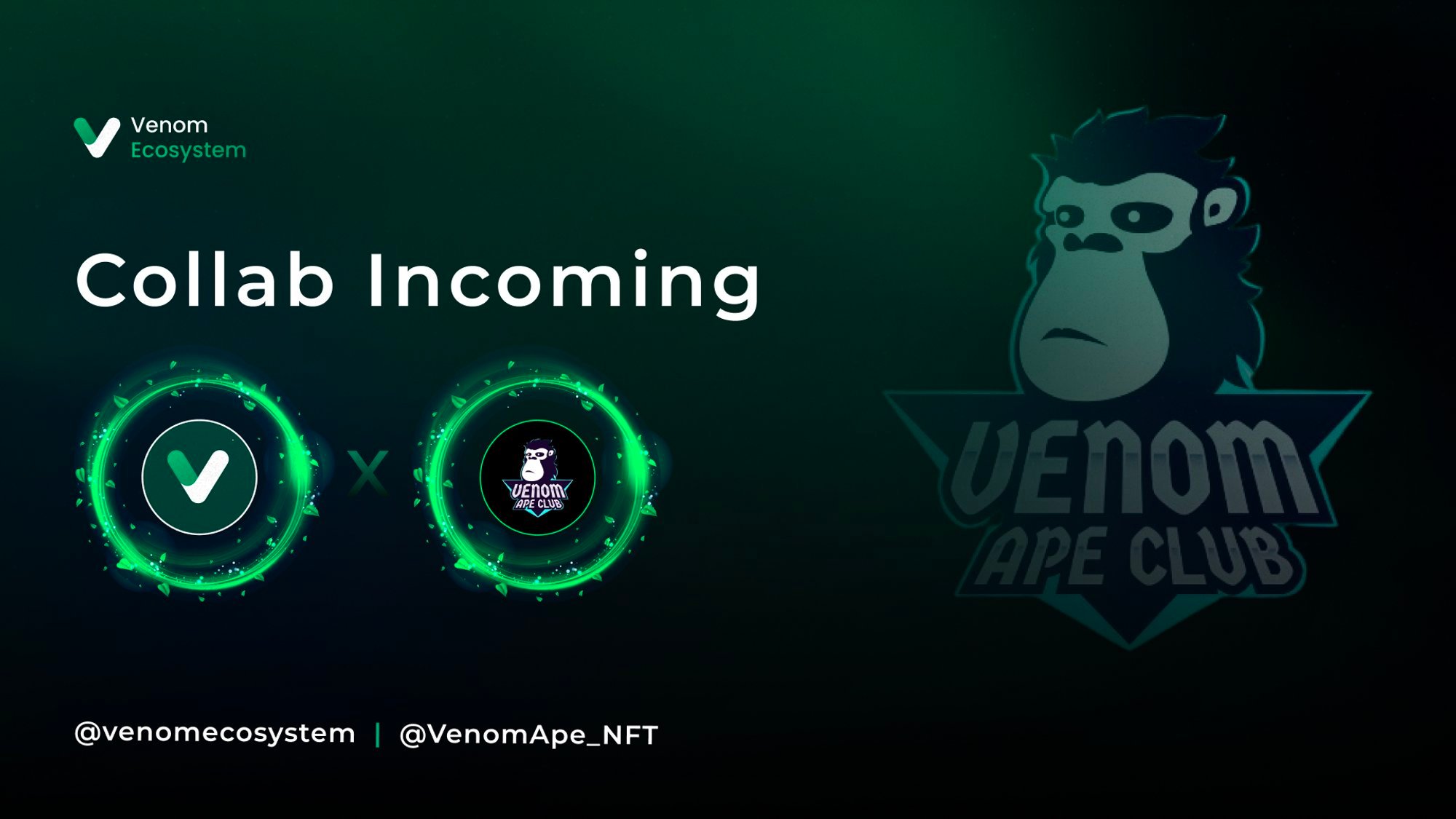 Venom Ecosystem on Twitter: "VenomEcosystem X VenomApeClub Giveaway 🐵 @VenomApe_NFT gave us 10 ...