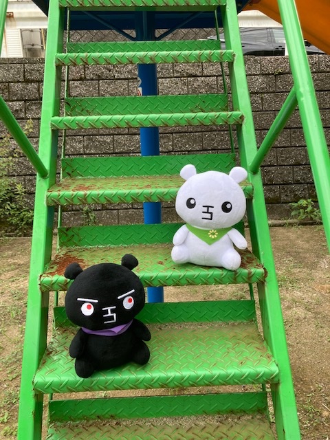 ていたん【公式】(@teitan_kita9) - Twilog