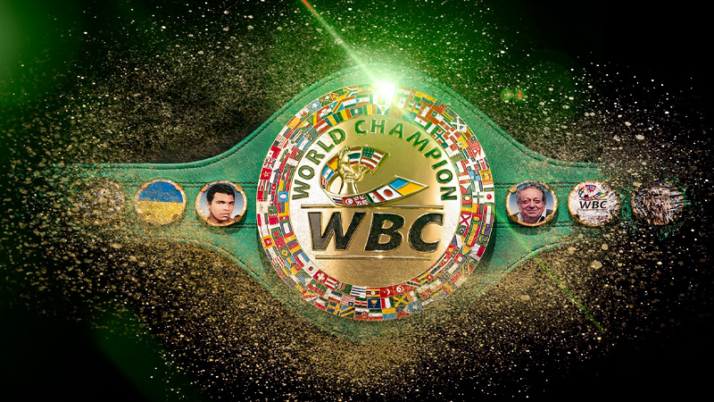 Boxing Belt Wall Paper