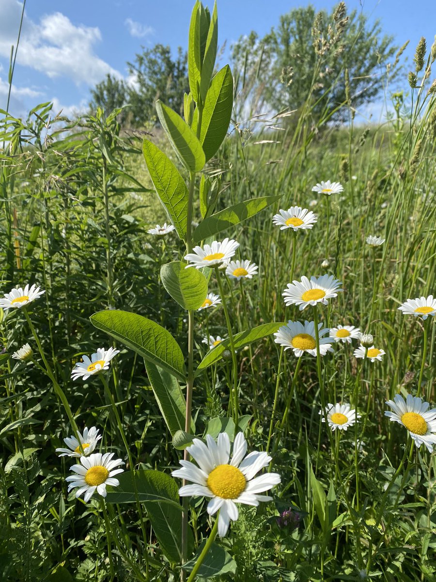 Femdom Farm on Twitter: "Happy Summer Solstice! Blessed are we who can appreciate our own ...