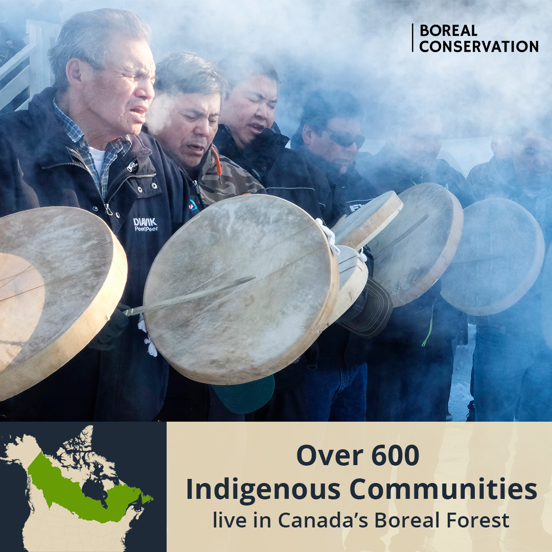 Guardians Of The Earth: How Indigenous Peoples Practice Sustainability ...