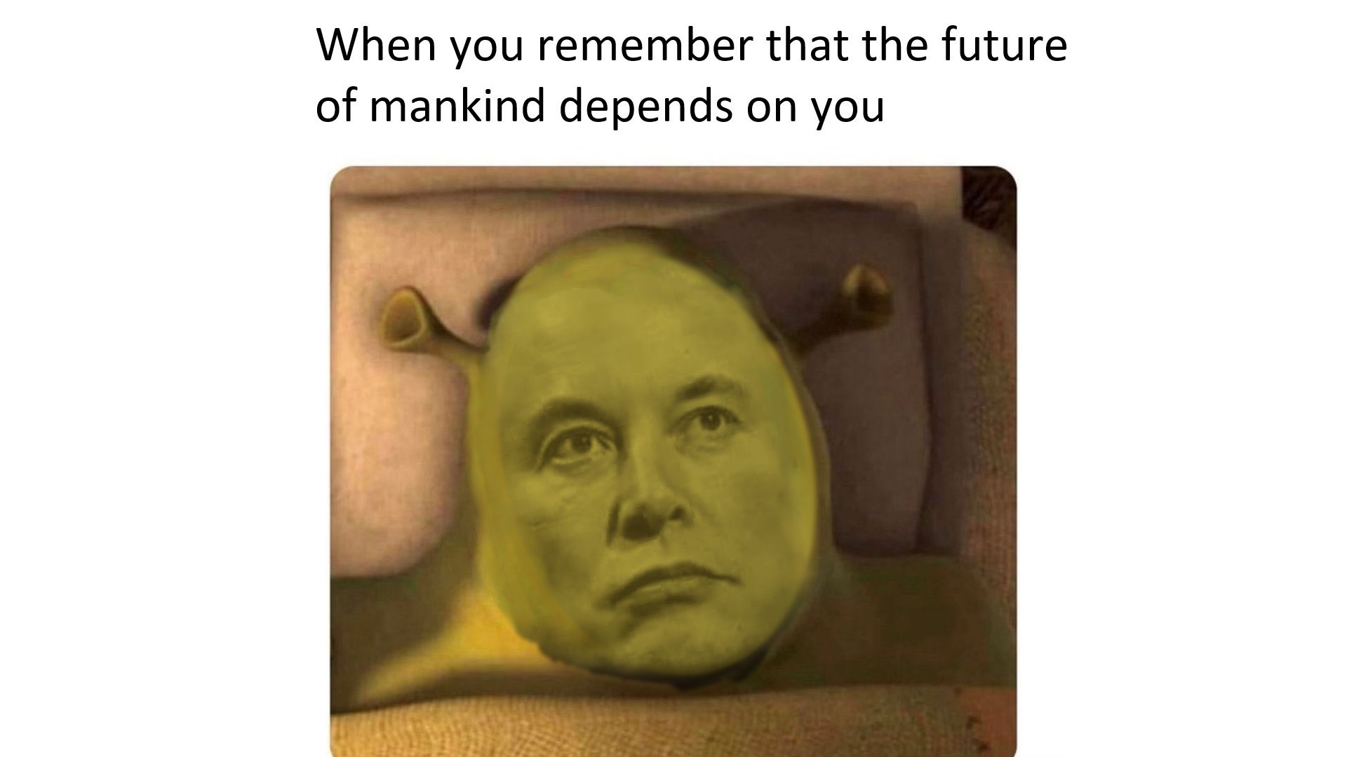 Shrek Inu on Twitter: "$SHREK, the name says it all. Community owned. Links: Presale link: https ...