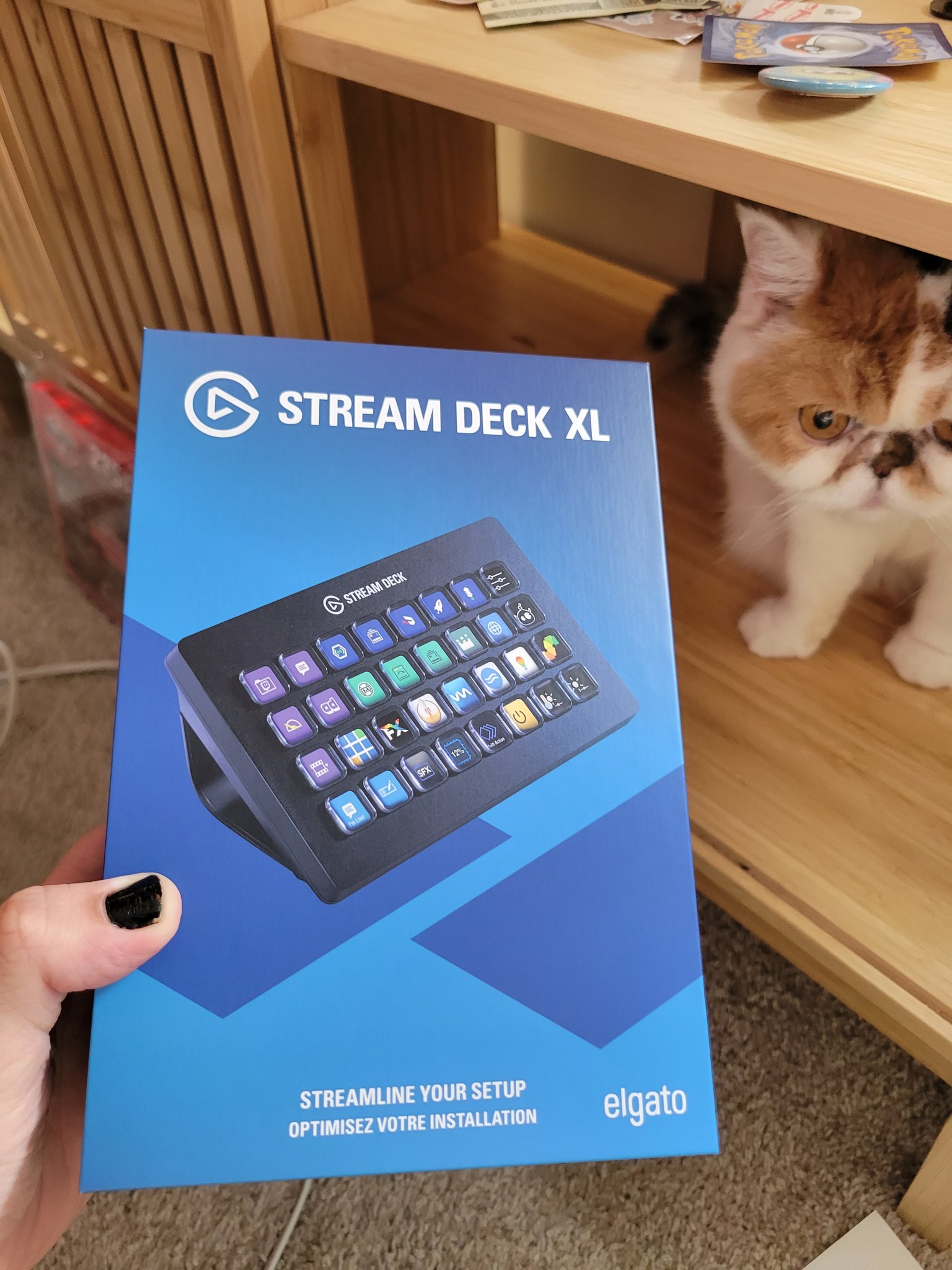 Kohai 🐶💜 Dog VTuber on Twitter: "#Vtuber moment when you have to sell your standard stream deck ...