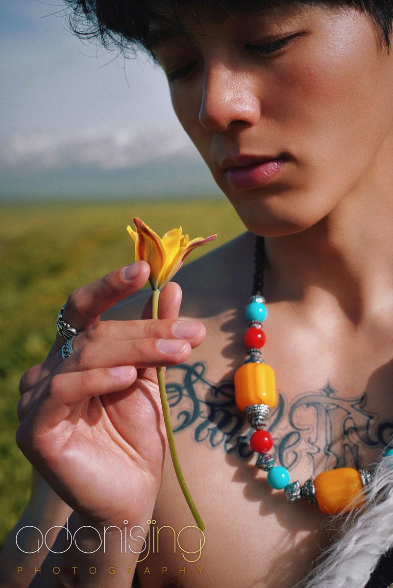 FOREST ALBUM 🏳️‍🌈🇺🇦 on Twitter: "- 端午安康 刘京摄影 @adonisjing2020