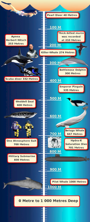 اضف الى كلامي. نظام الملاحة الذاتية او المسمى بال GPS لايعمل على اي عمق مائي تحت ال ٥٠٠ متر لان ...