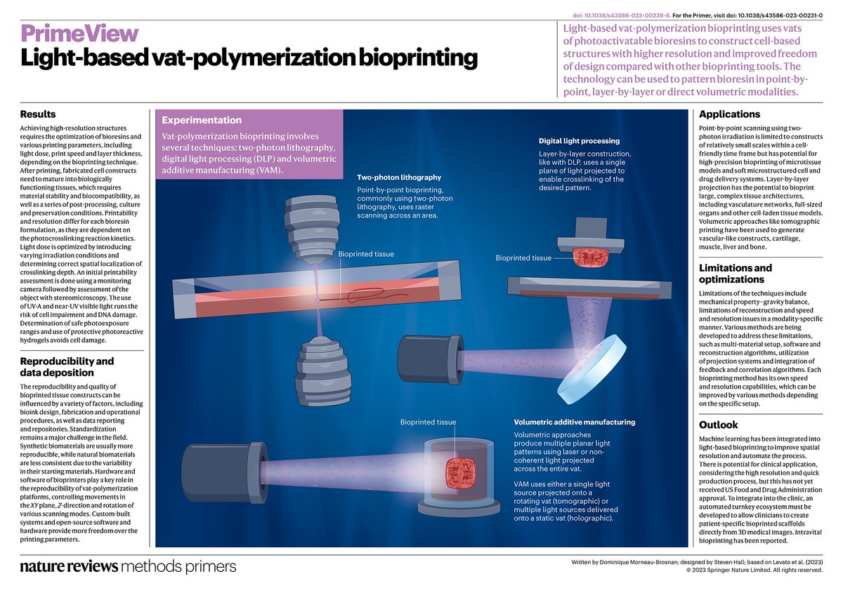 Nature Reviews Methods Primers On Twitter This Weeks PrimeView nature-reviews-methods-primers-on-twitter-this-weeks-primeview