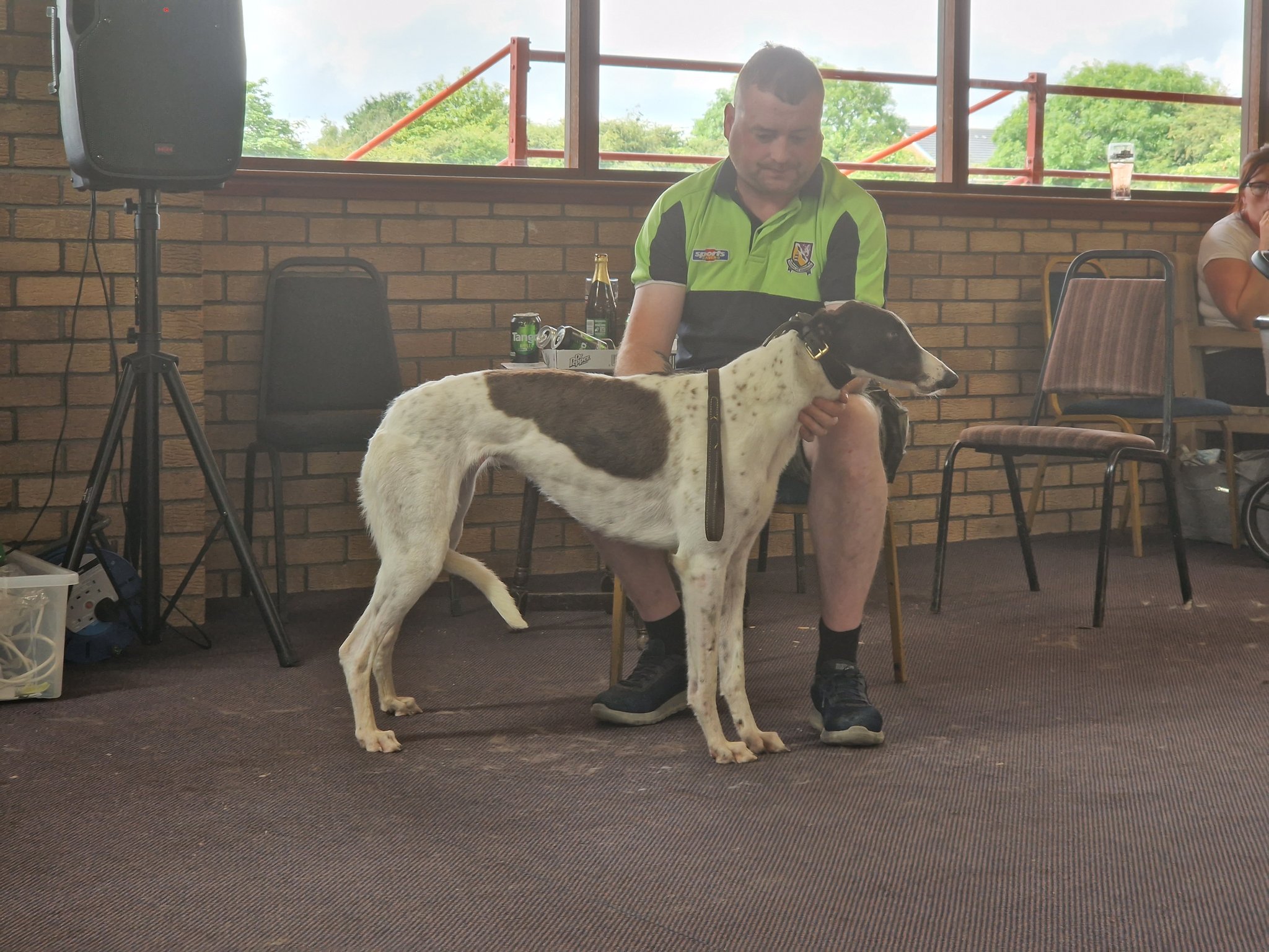 Greyhound Trader on Twitter: "Lot 32 Droopys Momentum SOLD at £4300 ONLINE https://t.co ...