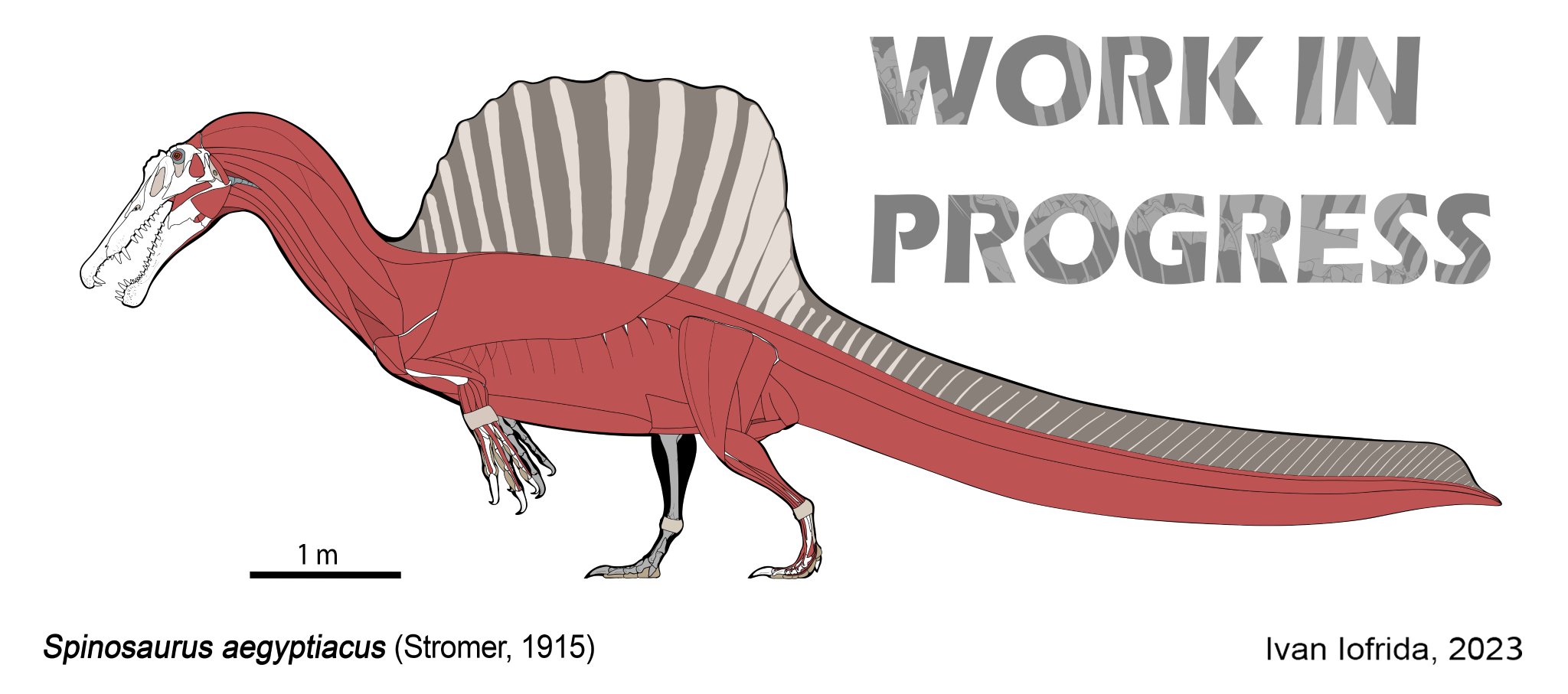 Anatomy Of Images Of Spinosaurus