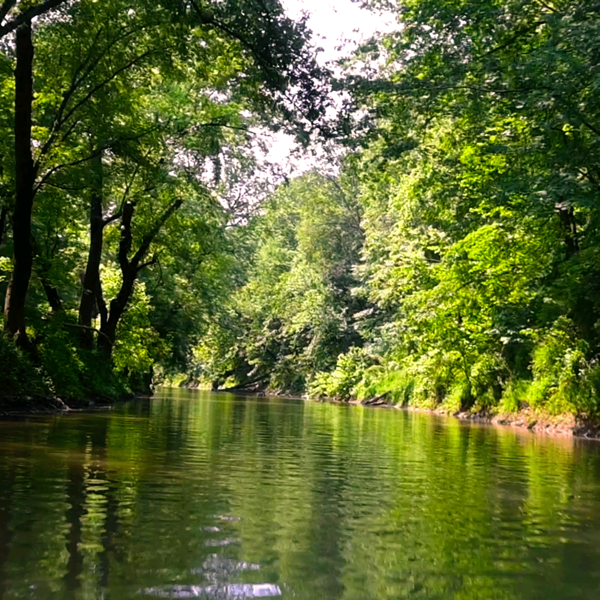 Peaceful River Wallpaper