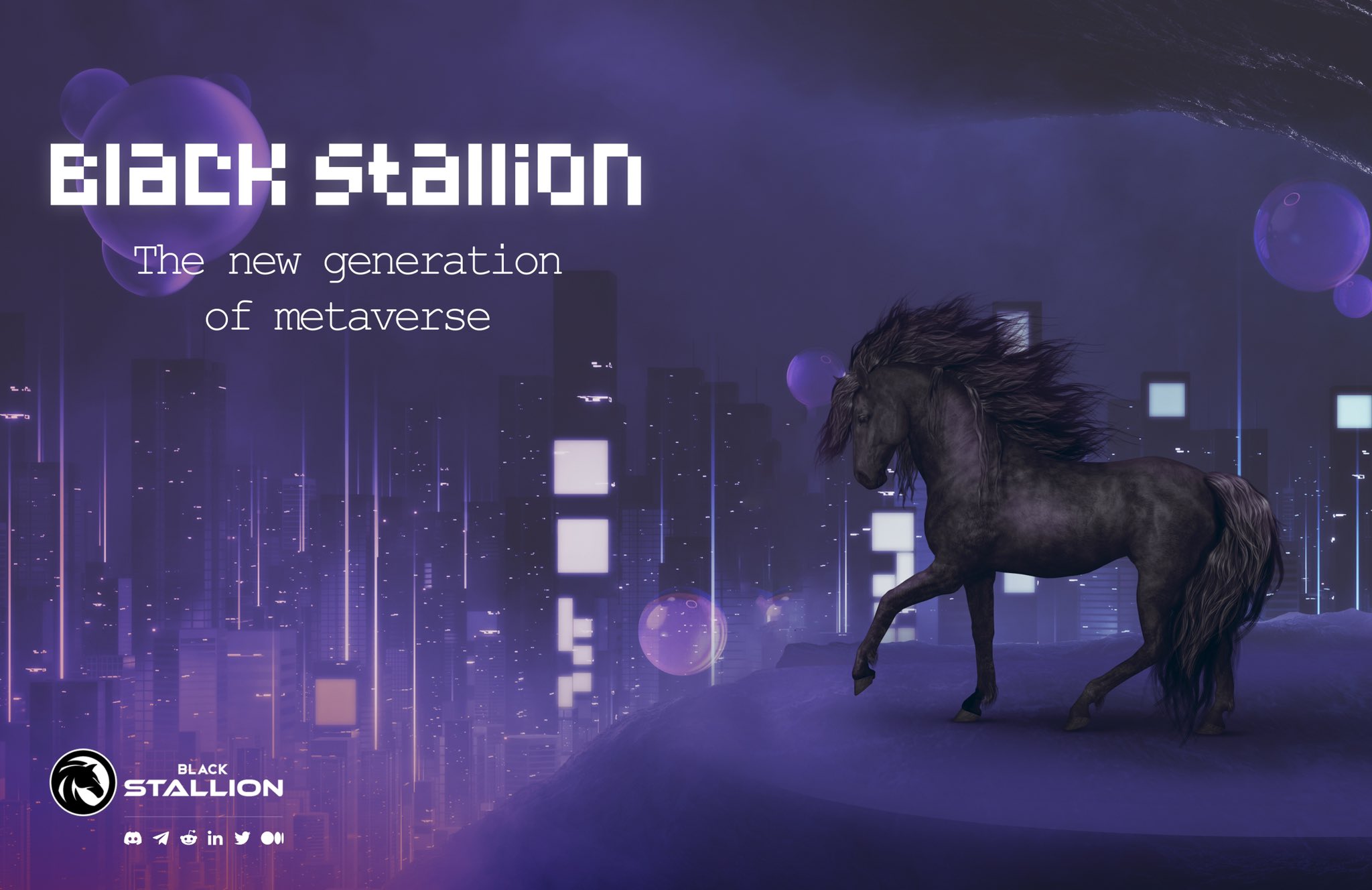 Black Stallion on Twitter: "🔮 Worried about your future? Look no ...