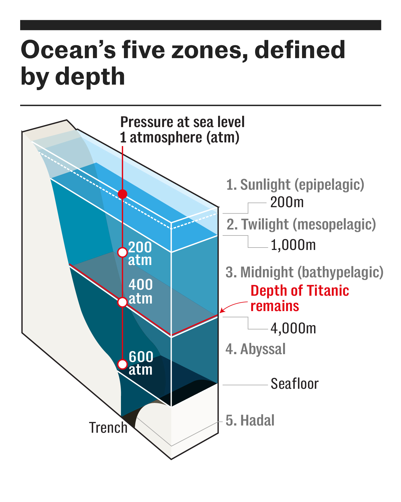 The Telegraph on Twitter: "🌊 Ocean’s five zones, defined by depth Read ...