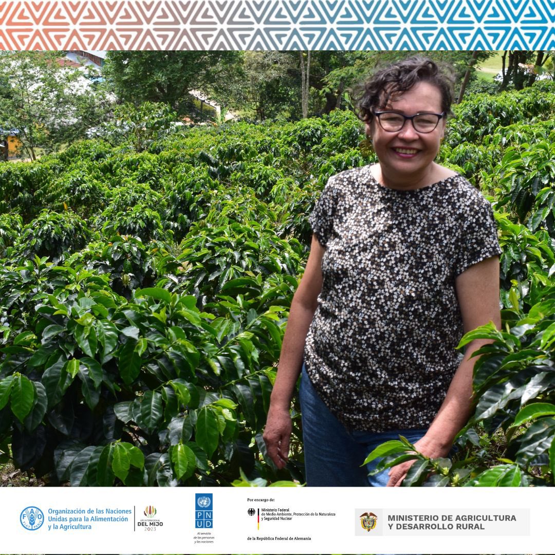 FAO Colombia on Twitter: FAO Colombia on Twitter: