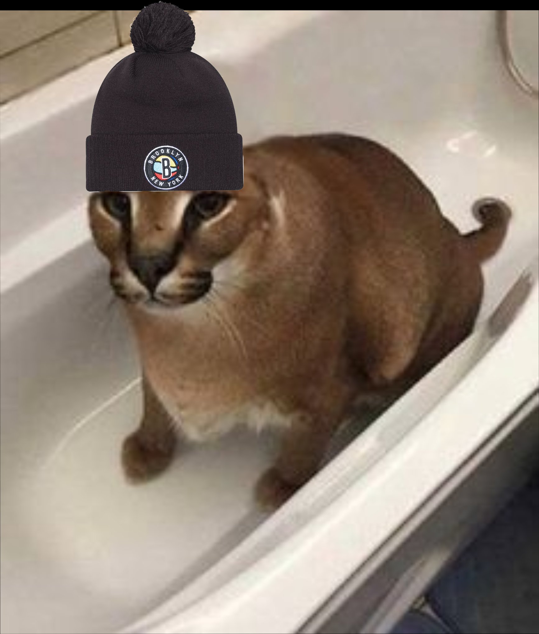 флоппа on Twitter: "Nets floppa because it's draft day today and Damian Lillard will be a net ...