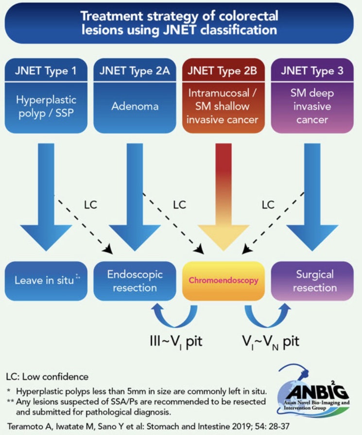 EndoCollab | GI Endoscopy Community on Twitter: "Colorectal polyp series: Utility of the JNET ...