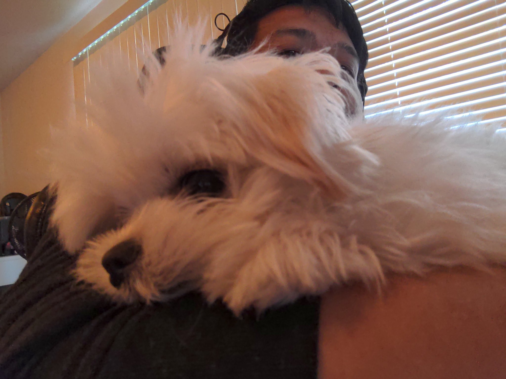 Suika on Twitter: "Appa mood https://t.co/0qkqdLxwhB" / Twitter