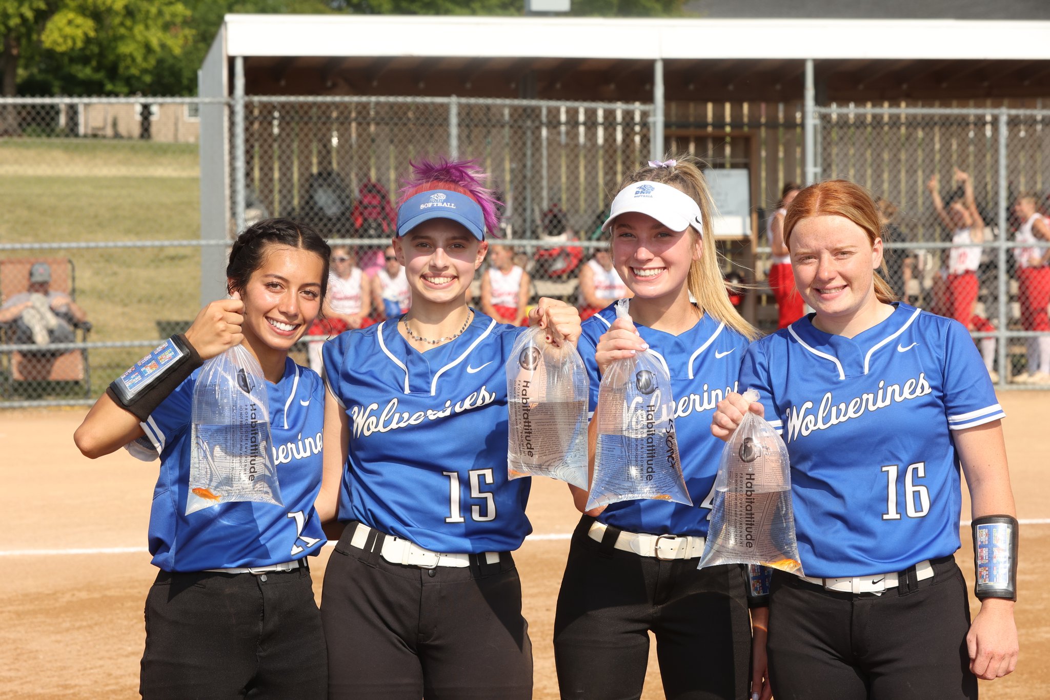 CJ Eilers on Twitter: ".@DNH_Softball Senior Night for Misty Harreld, Ava Cleveland, Ella ...