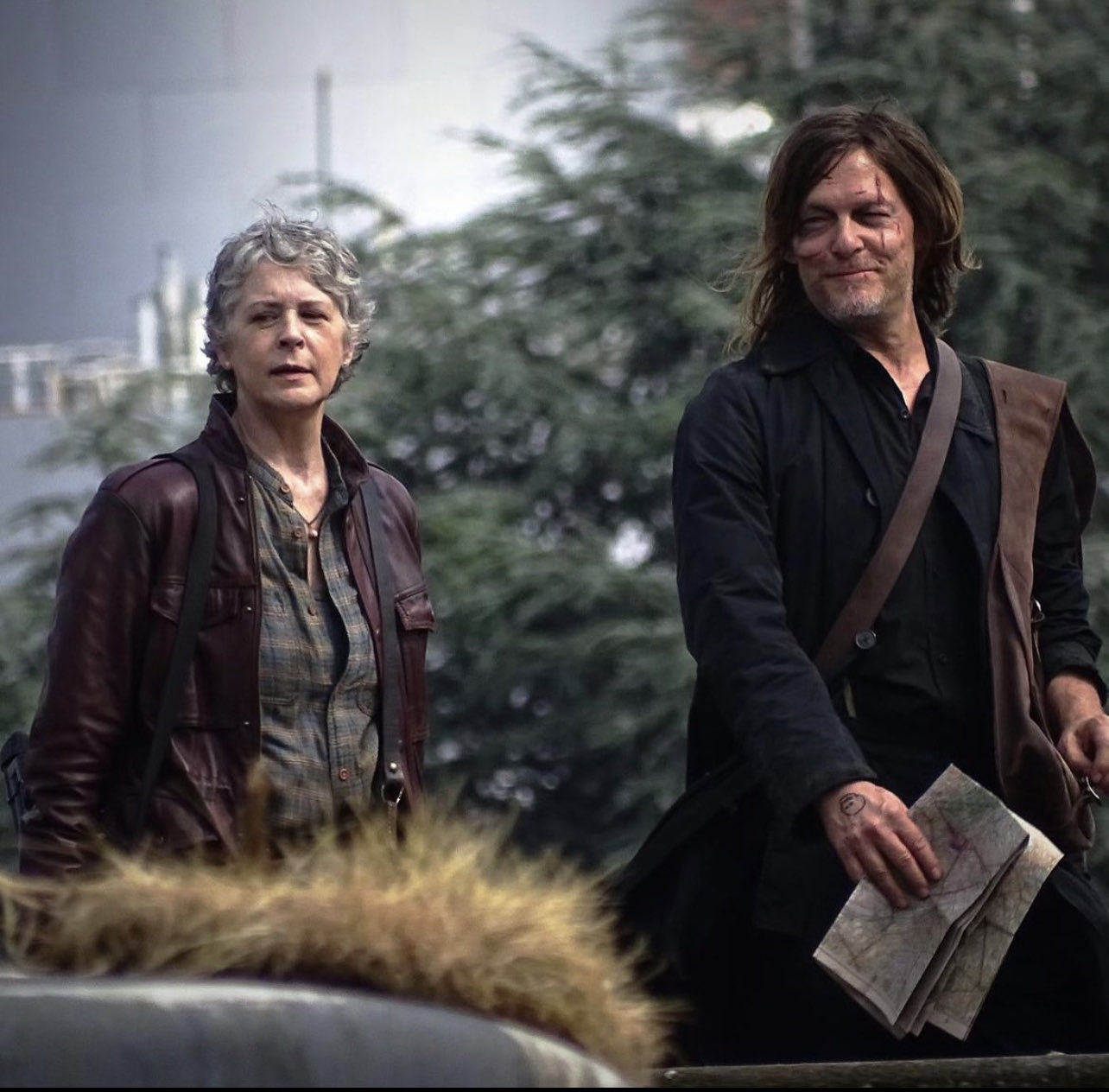 Daryl Dixon And Carol