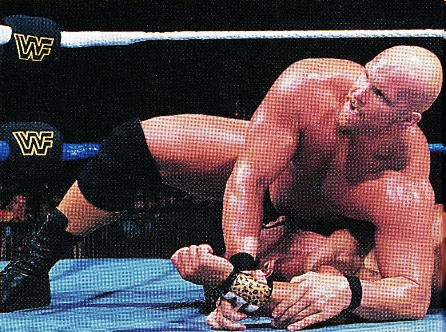 Stone Cold 1996