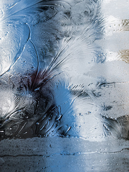 Alana Thrower on Twitter: "New artwork for sale! - "Frost Feathers" - https://t.co/E15Nw9RiHg ...